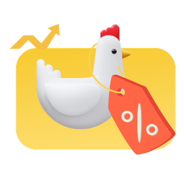 Your daily poultry partner